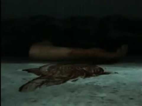 Maxwell (2007) Movie Trailer - YouTube
