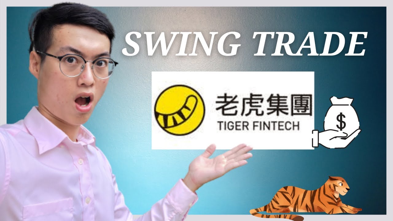 TIGR Stock Reaching Lows! These are the signs I look out for to ...