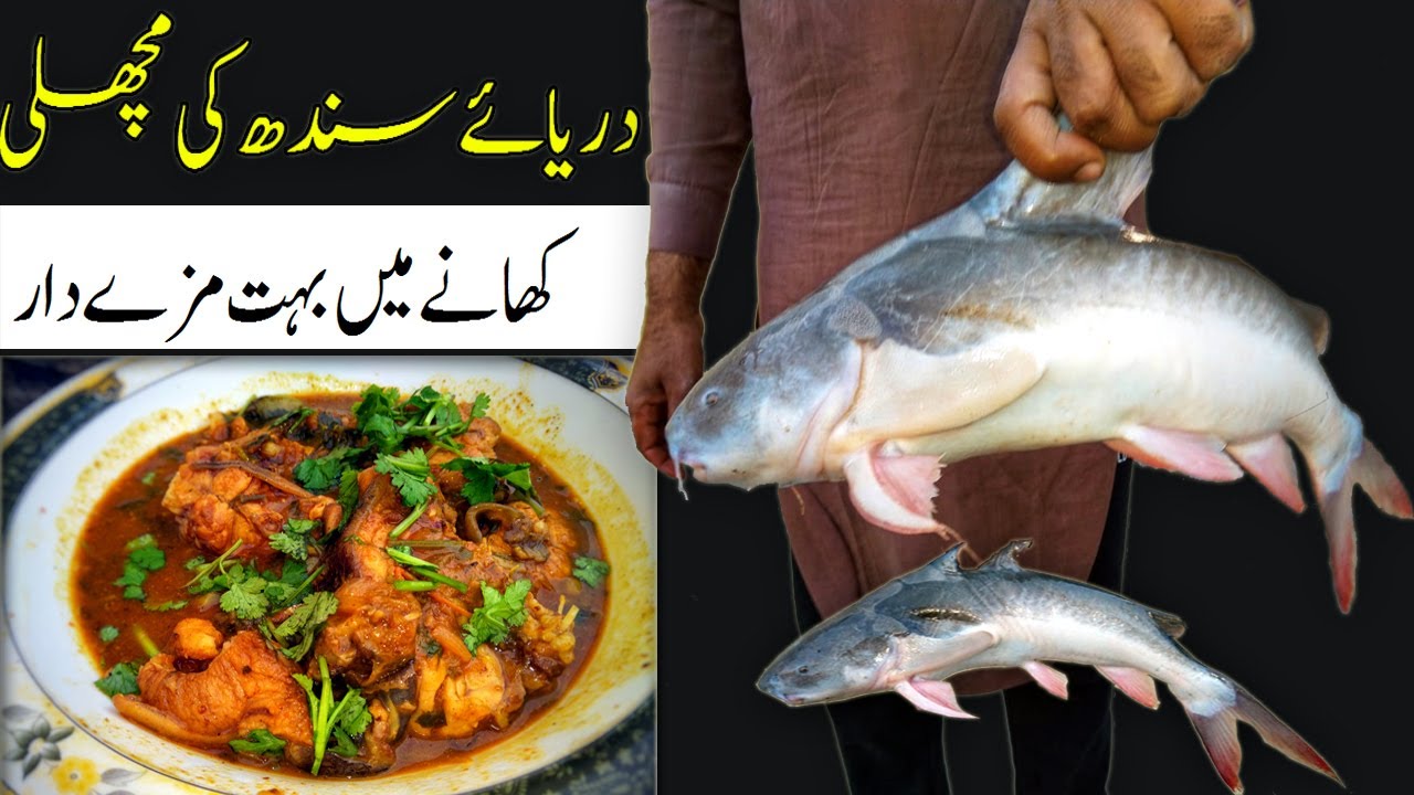 Fish Recipe|Indus River Fish|Easy and Tasty by Sindh Zaika - YouTube