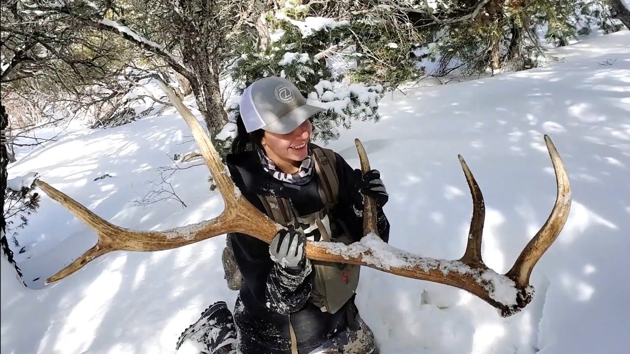 SHED ARCHIVES | EP 2 | ELK SHEDS | SHED HUNTING - YouTube