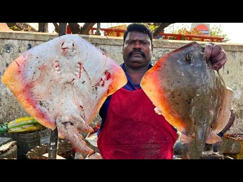 Brown Ray Fish cutting 🧑‍💻 brown Ray meen cutting 🚀 Kerala | brown Ray ...
