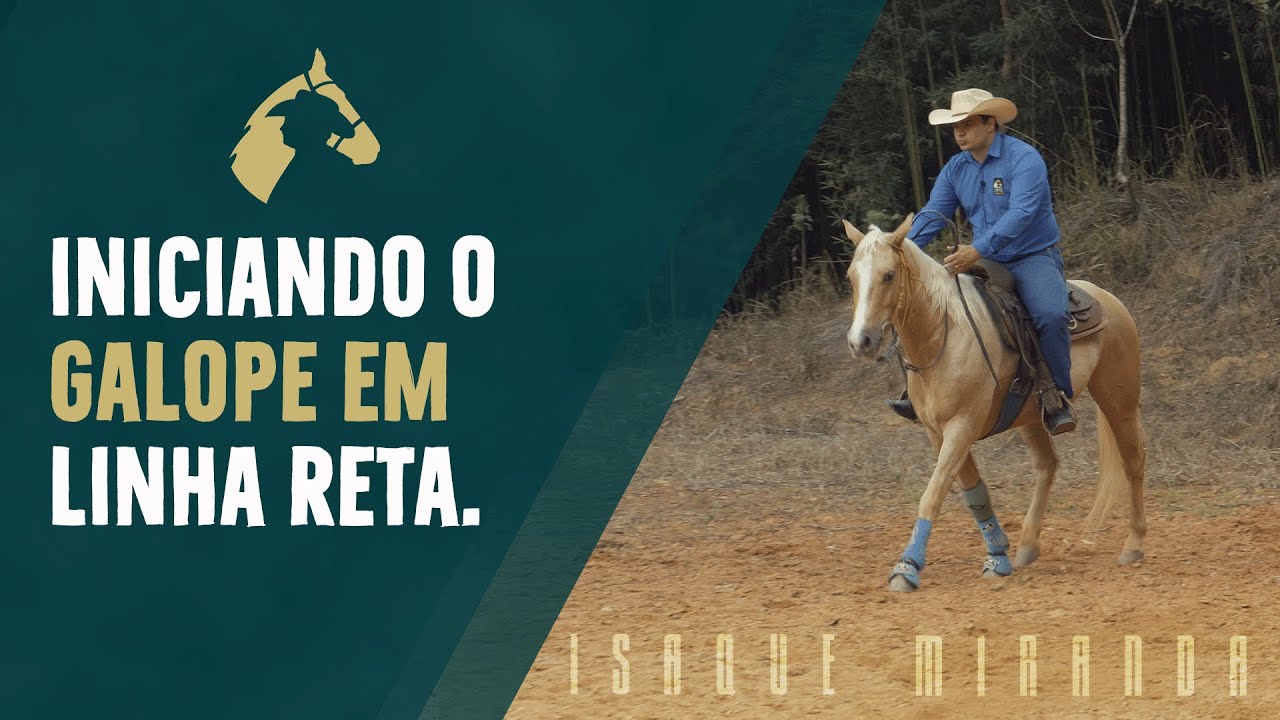 DOMANDO ÉGUA DE 8 ANOS (GALOPE EM LINHA RETA) #PARTE6#cavalo #doma # ...