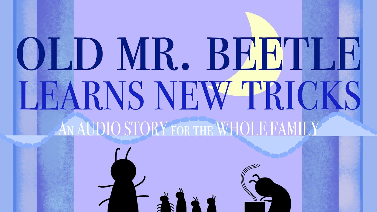 Old Mr. Beetle Learns New Tricks | Audio Story for Kids - YouTube