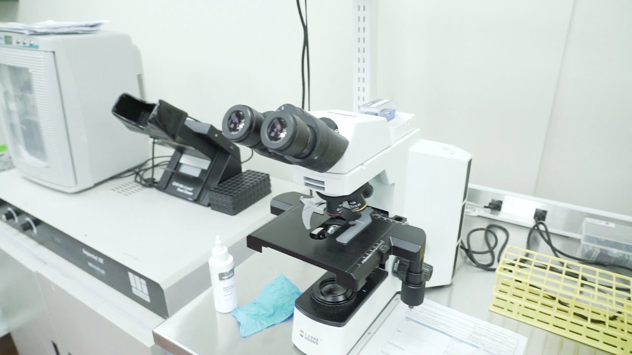 New Laboratory Opening Ceremony - YouTube