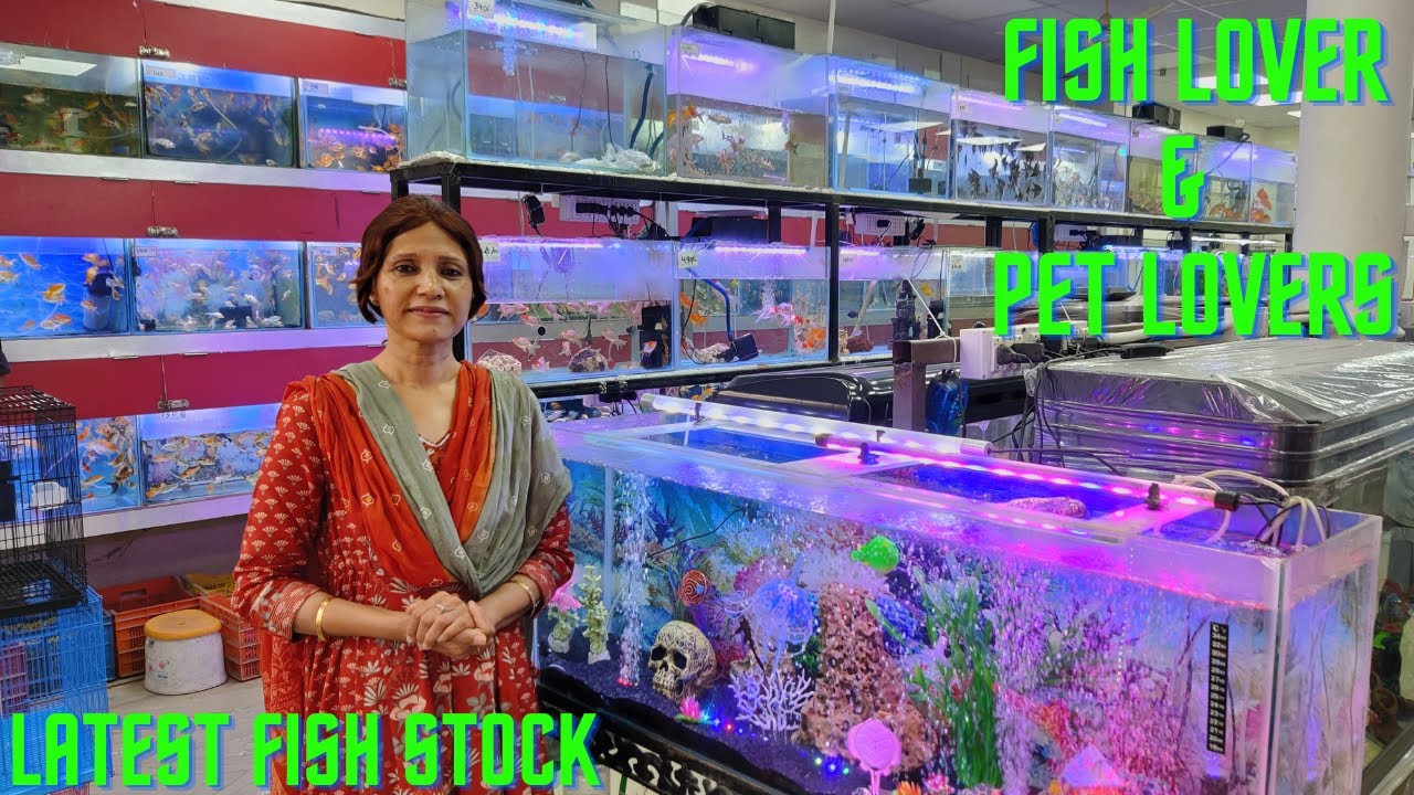 Fish lovers Aquarium Fish Shop Full Tour | part 1 | Tk pets | One stop ...