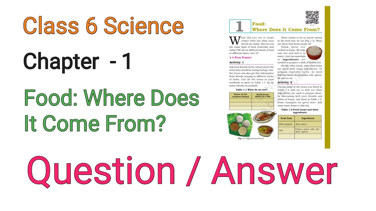 food where does it come from question answer|class 6th science chapter ...