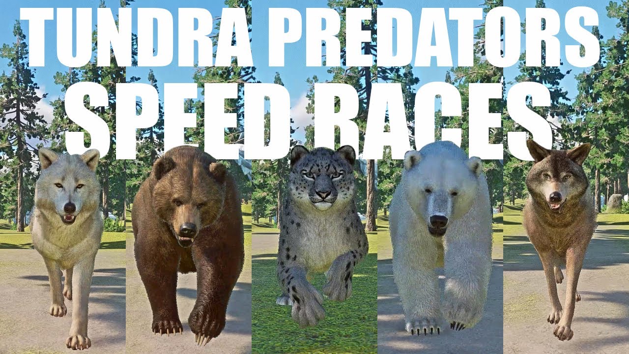 Tundra Predators Speed Races in Planet Zoo in 4K UHD included Polar ...