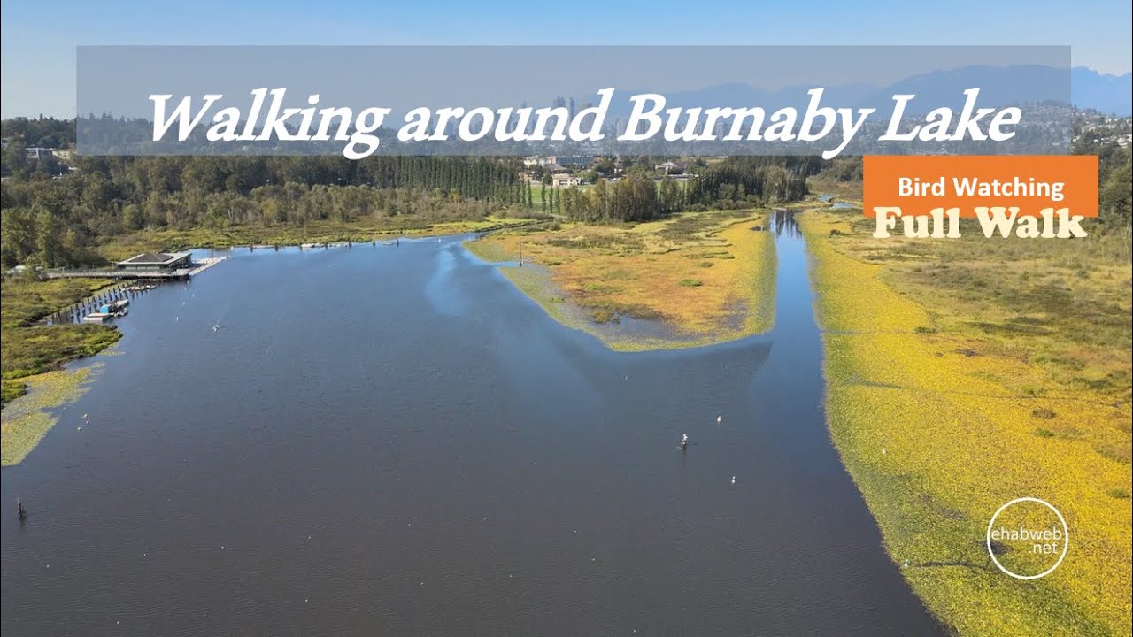Walking around Burnaby Lake - Vancouver - British Columbia - YouTube