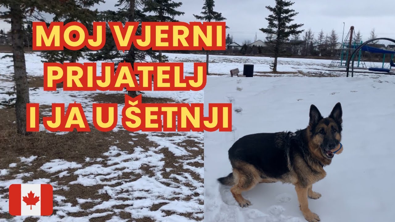 Večernja setnja sa psom kroz nase naselje u Kanadi - YouTube