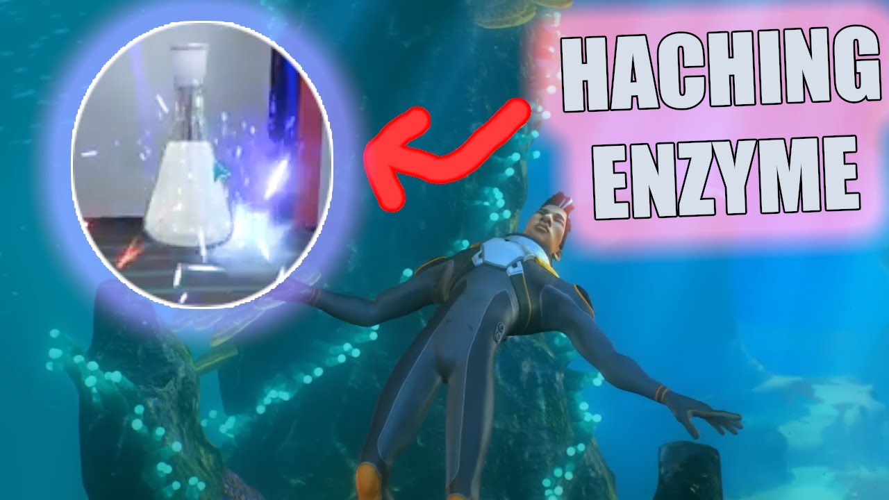 Hatching enzyme {subnautica}{part-28}{Dr.Black}[dr.black] - YouTube
