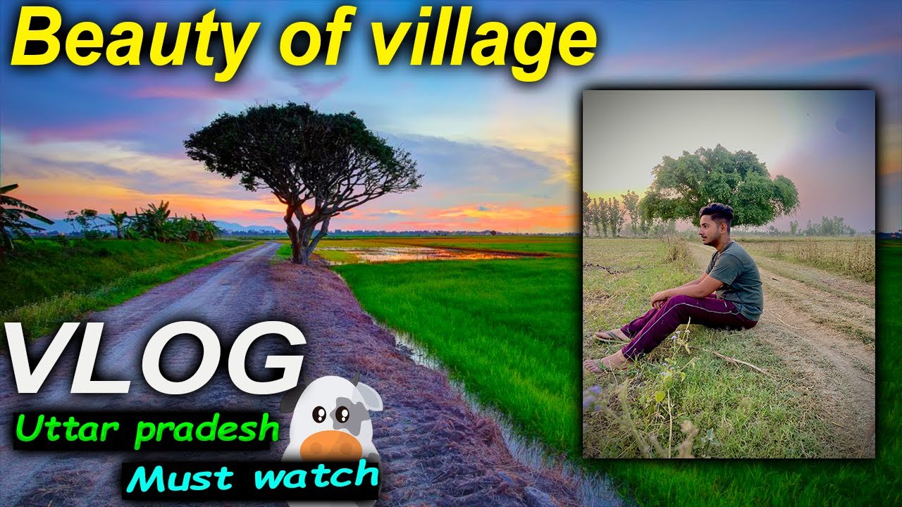 Our village review | UP beautiful village 2023 | A day in gaon | UP ...