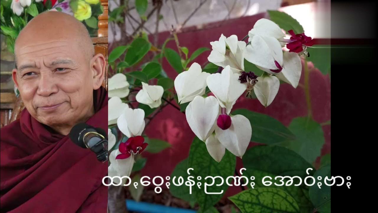 ပညာ သမ္ပဒါ ဘဒ္ဒန္တဗွေႏကောဝိဒ သီႏသဲင်ႏ Youtube
