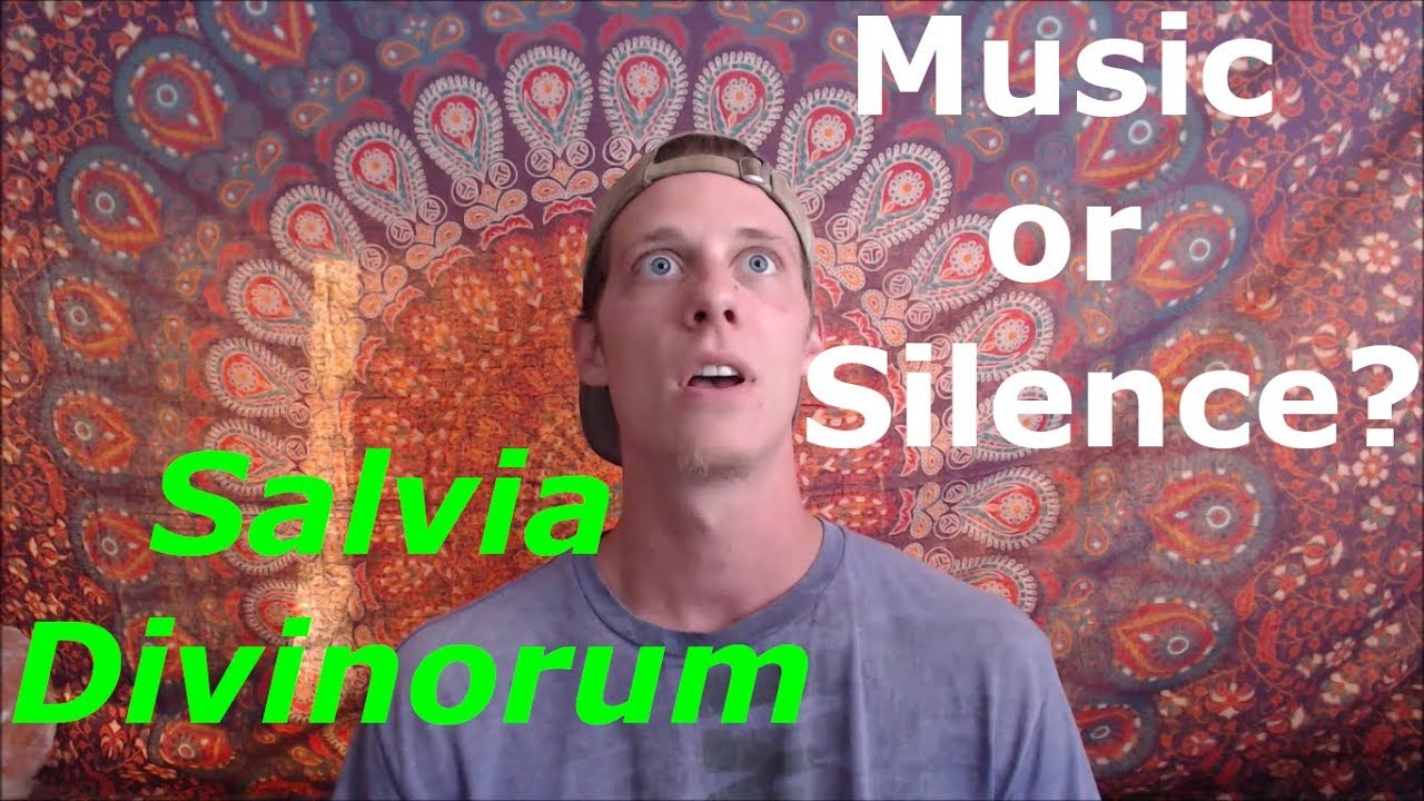Salvia Divinorum & Music (Smoking & Chewing) - YouTube