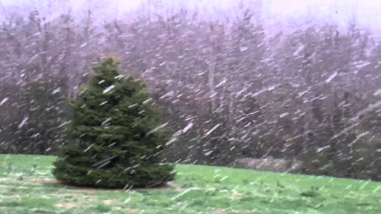 Giant snowflakes fall in the front yard on 27-Mar-11 - YouTube