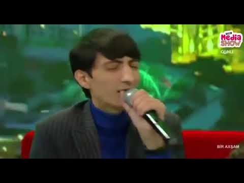 Balaeli seir 2019