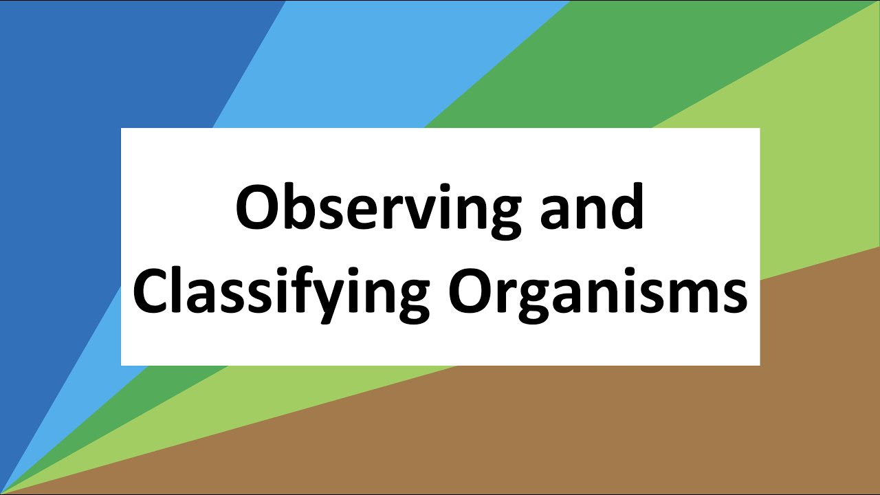 Observing and Classifying Organisms - YouTube