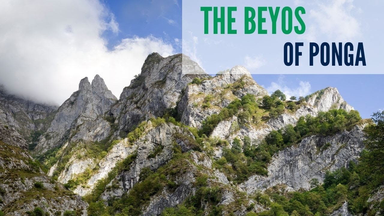 The Beyos of Ponga - YouTube