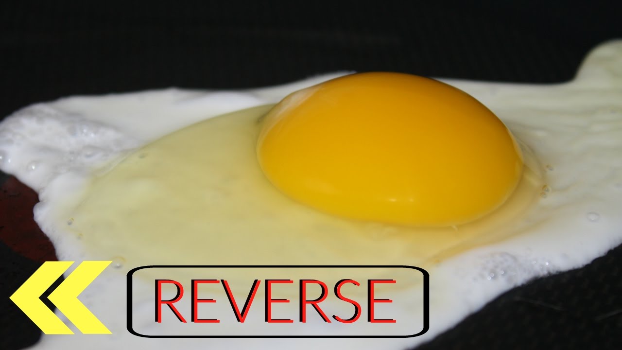 Cooking an Egg [REVERSE VIDEO] - YouTube