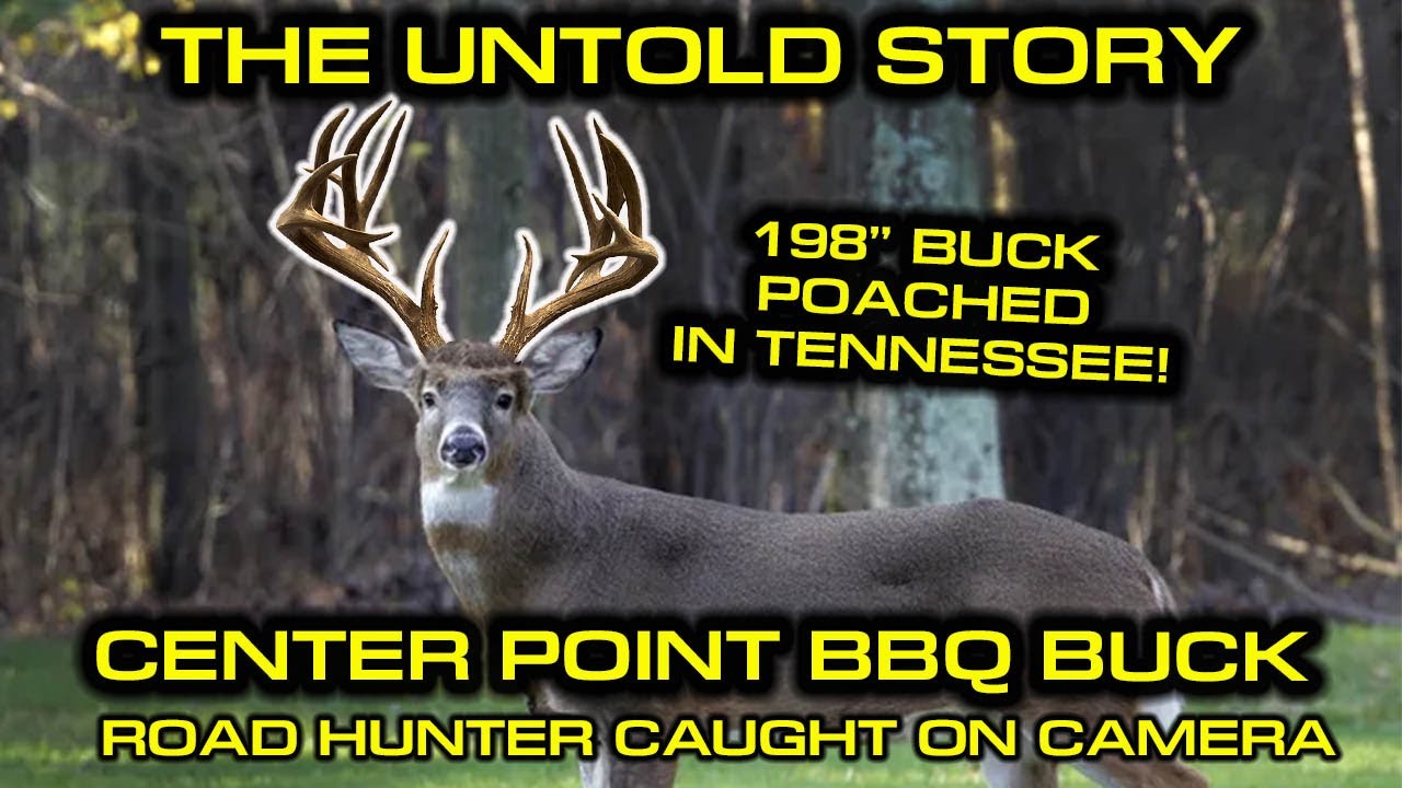 THE CENTER POINT BBQ BUCK | 198" TENNESSEE BUCK POACHED! - YouTube