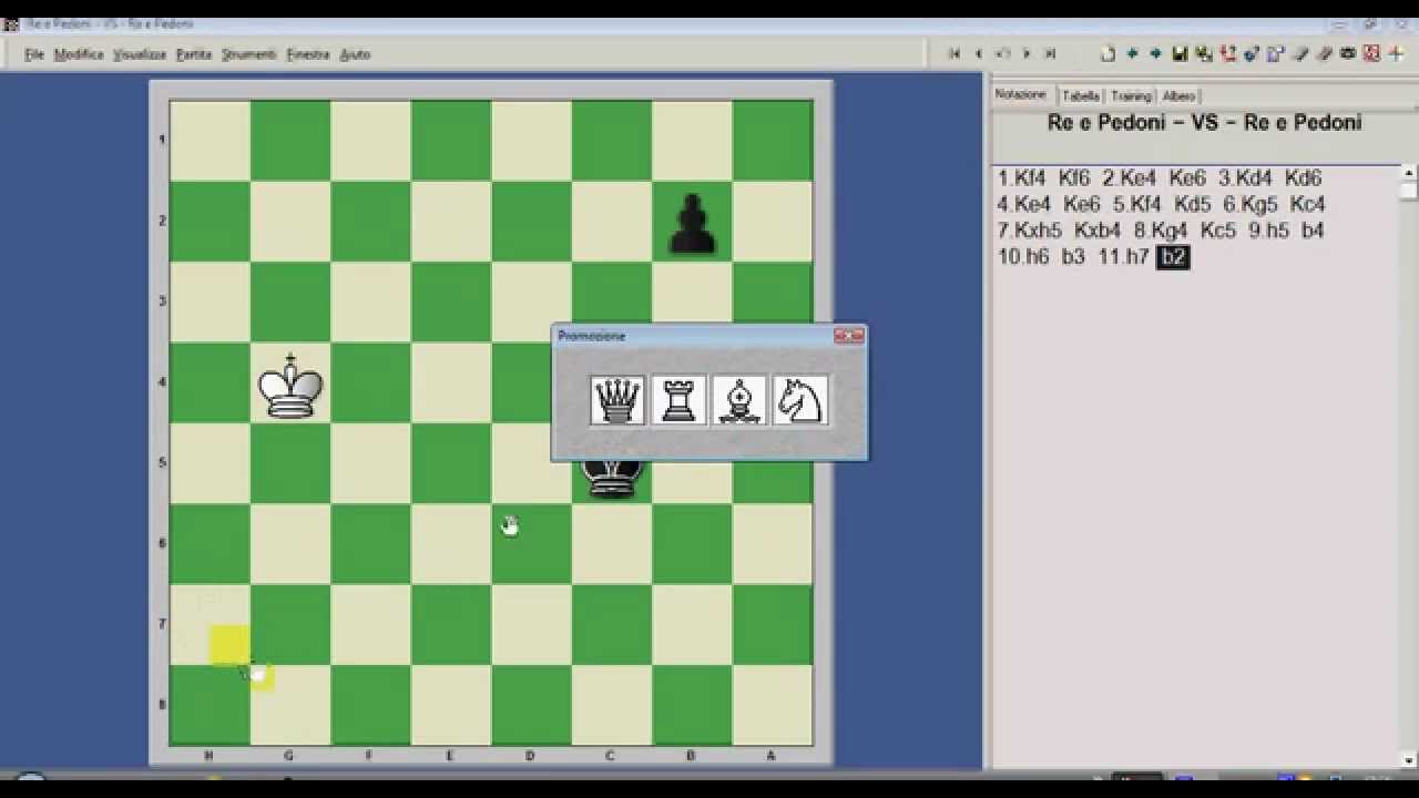 FINALI DI SCACCHI - N° 7 - YouTube