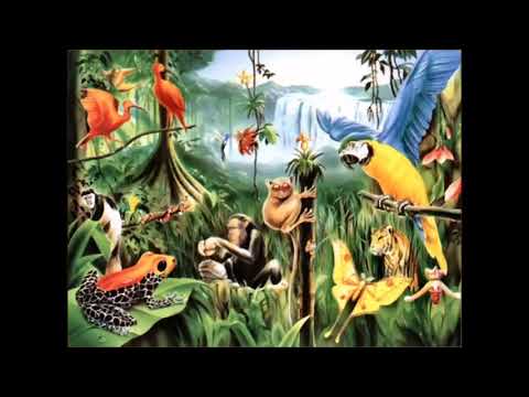 Jungle Sounds Of Tropical Amazon Rainforest | Distant Thunder | 3 Hours To Help You Focus