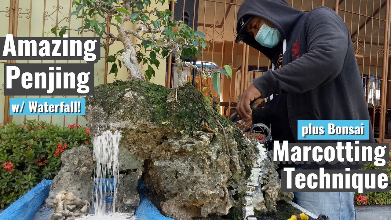 Amazing Penjing with Waterfall plus Bonsai Marcotting Technique ...