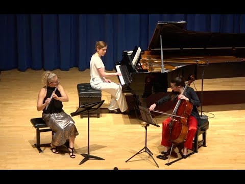 Carl Czerny - Fantasia Concertante for Flute, Cello and Piano, Op. 256 ...