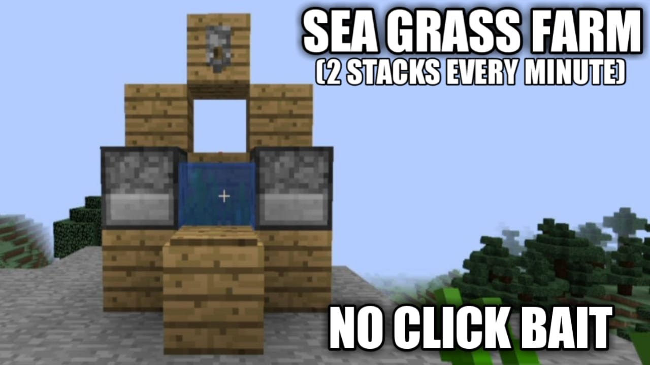 SEA GRASS FARM ( 2 STACKS EVERY MINUTE ) | NO CLICK BAIT | MINECRAFT ...