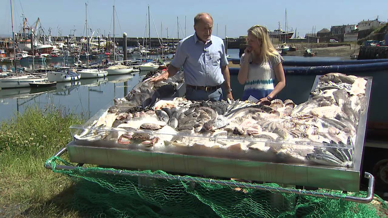 Shimmering Sardines: discovering Cornish fish - YouTube