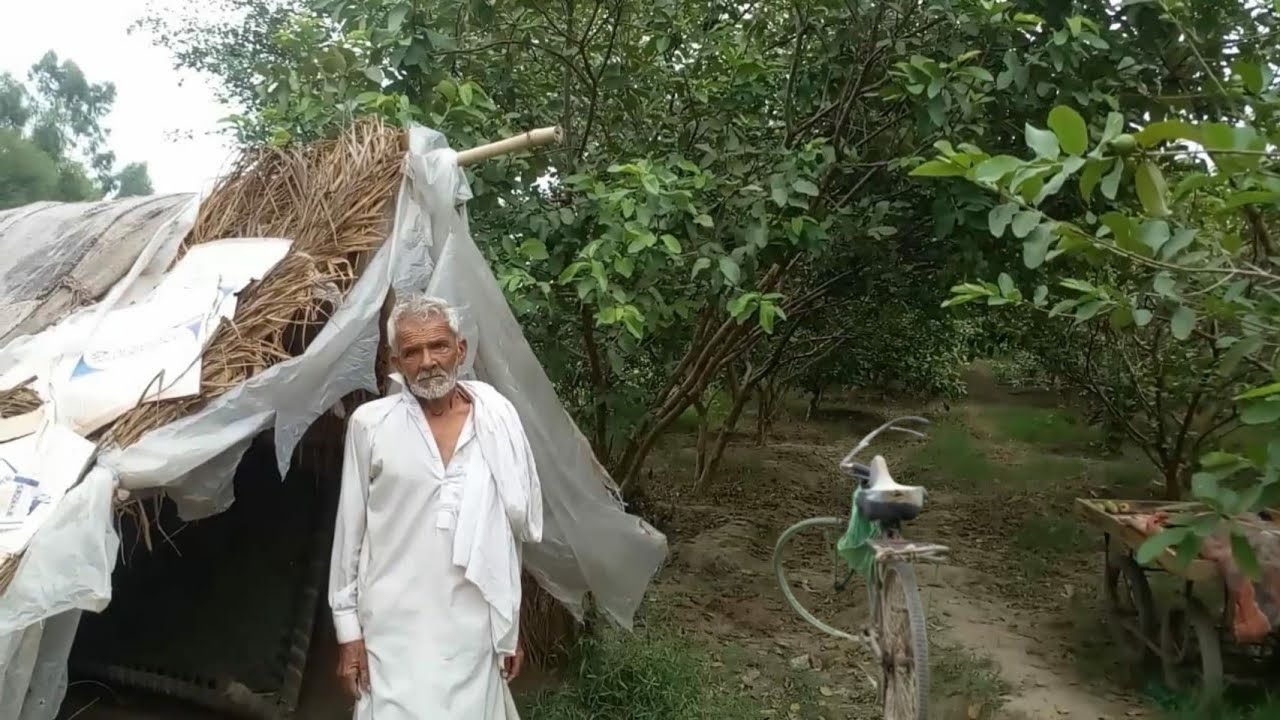 An Old Man Living Alone in Traditional House||Primitive Village Life ...