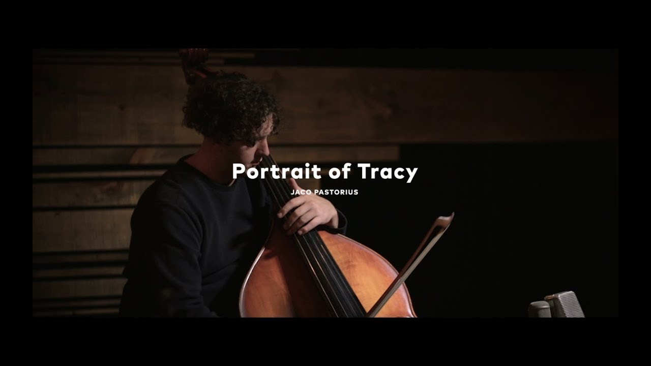 Portrait Of Tracy - Jaco Pastorius - Mathieu Desy - Glow In The Dark ...