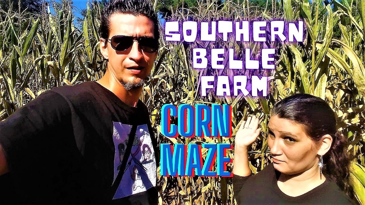 SOUTHERN BELLE FARM CORN MAZE | FALL FAMILY FUN | - YouTube