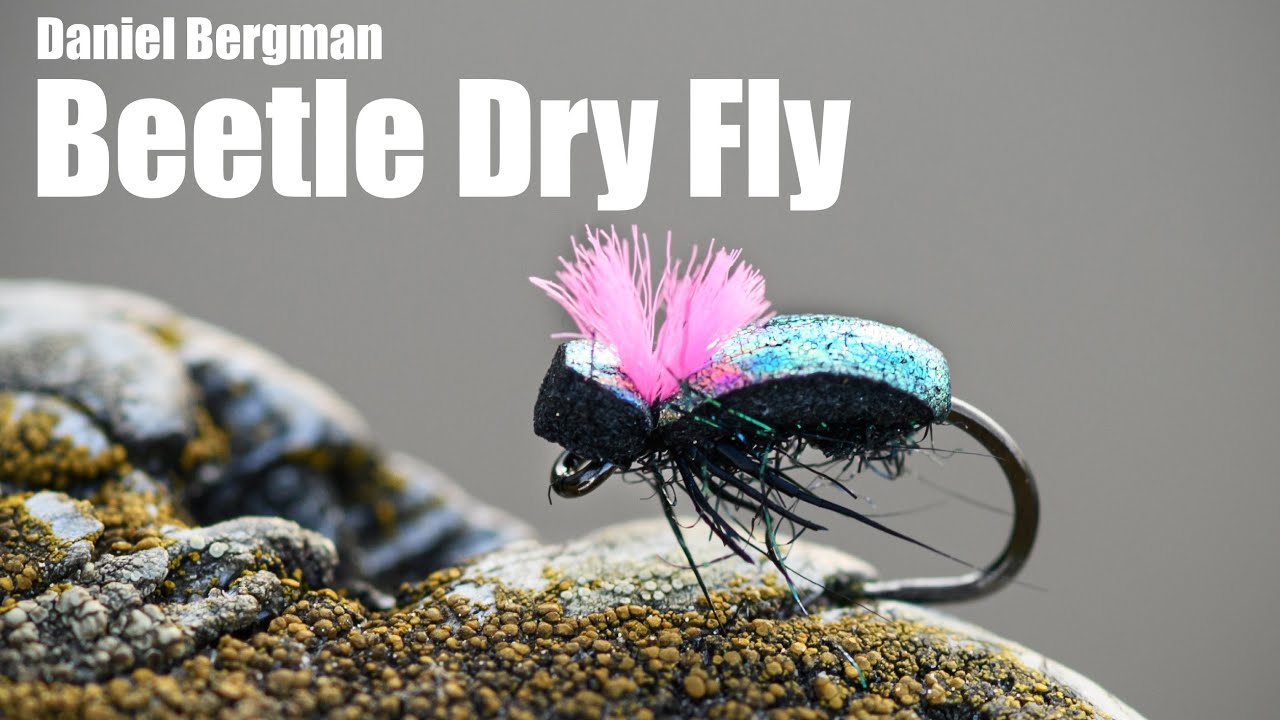 Beetle Dry Fly by Daniel Bergman - YouTube