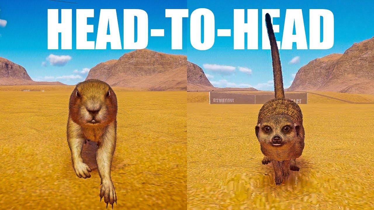 Meerkat vs Black Tailed Prairie Dog A Head to Head Speed Race in Planet ...