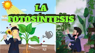 La fotosíntesis - La fotosíntesis de las plantas 🌿🌼☘️🪴 | Doovi