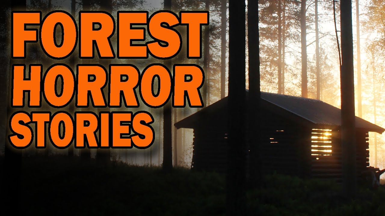 4 True Chilling Forest Horror Stories - YouTube