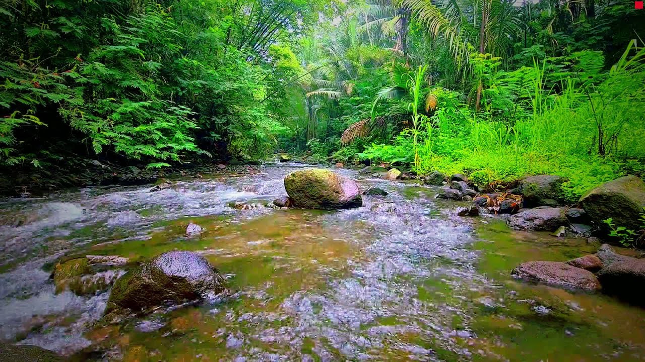 Waterfall Gentle Stream Sound in forest 24/7. Waterfall Sounds, Flowing ...