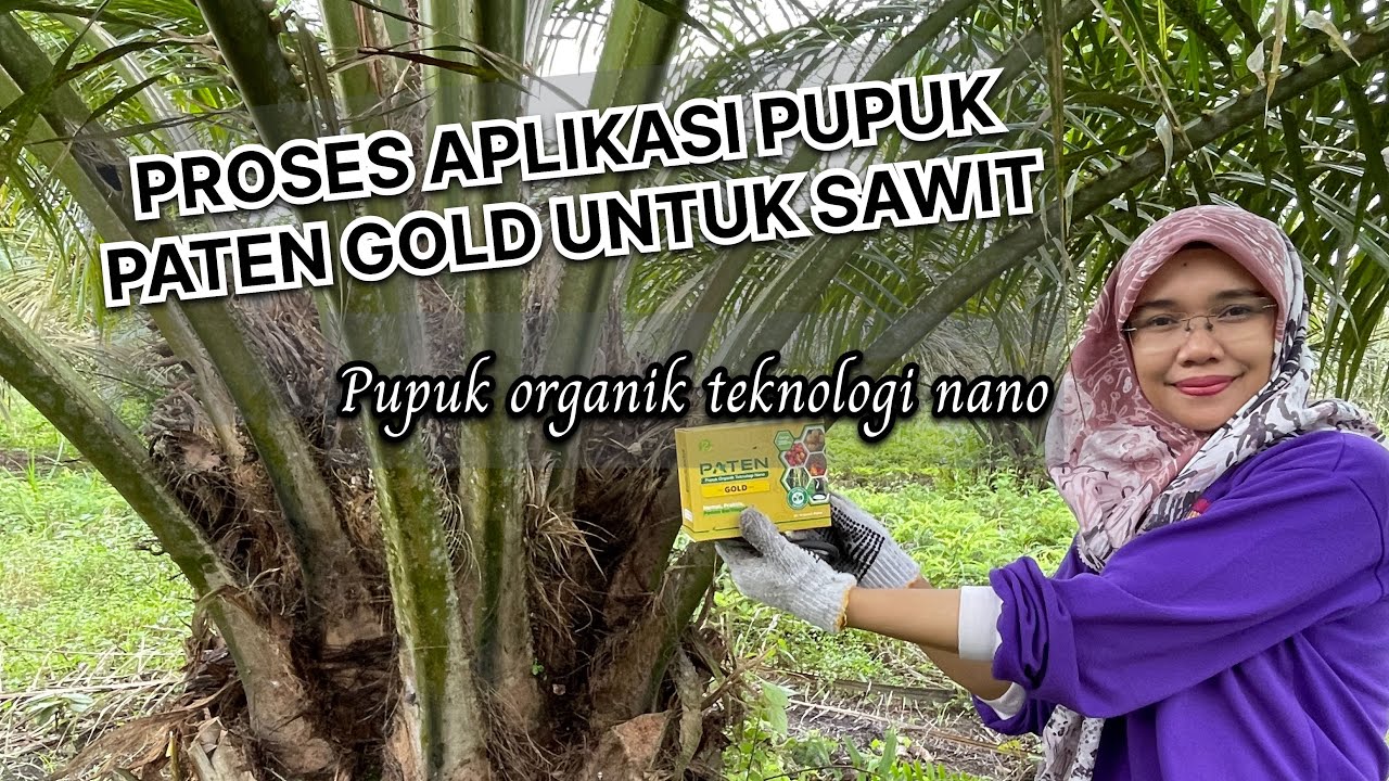 CARA APLIKASI PUPUK PATEN GOLD TEKNOLOGI NANO PADA SAWIT BERMASALAH ...