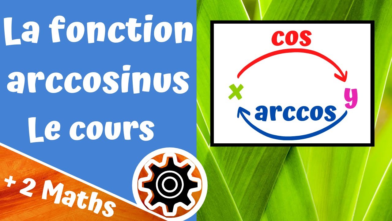 La fonction arccosinus : le cours - YouTube