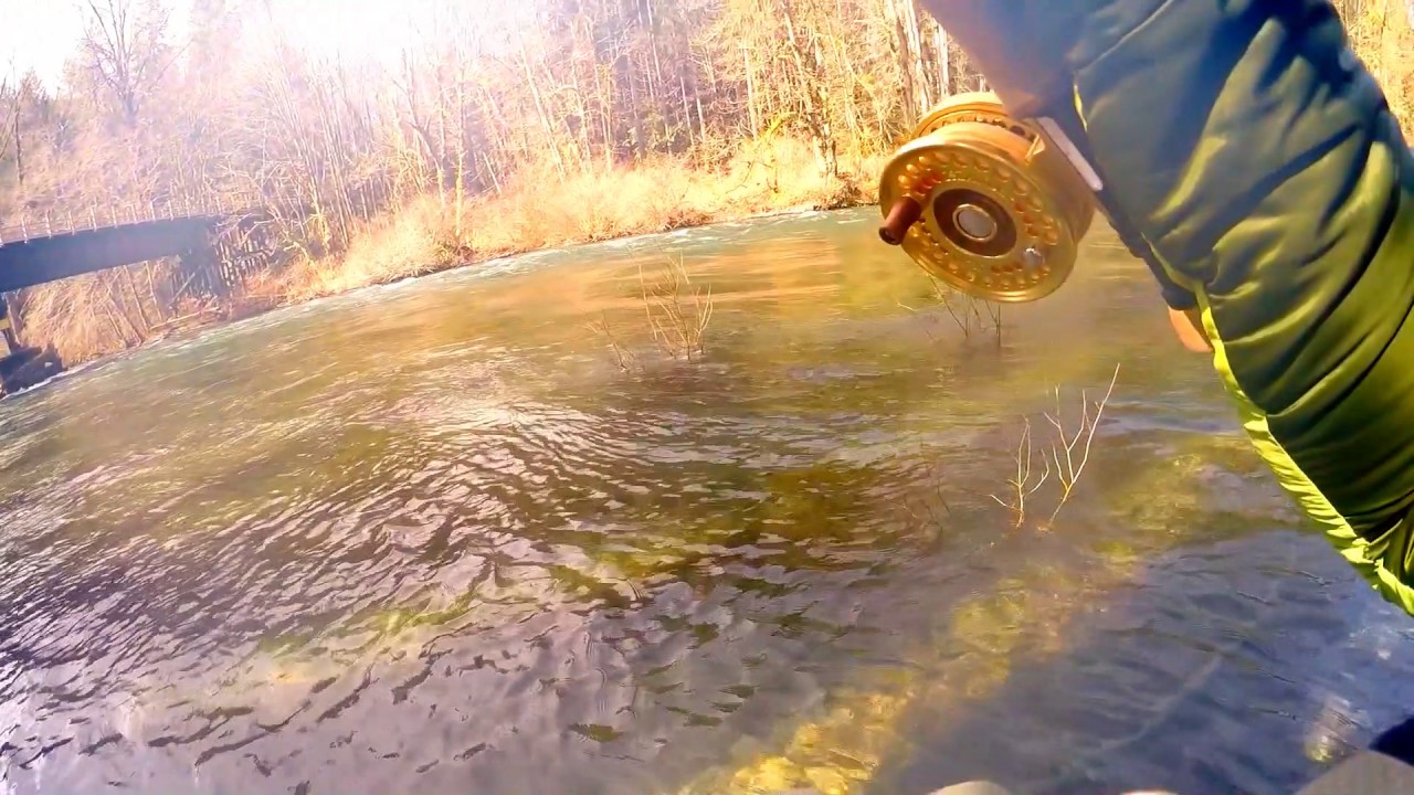 Cowichan River Fly Fishing - My 1st Steelhead! - YouTube