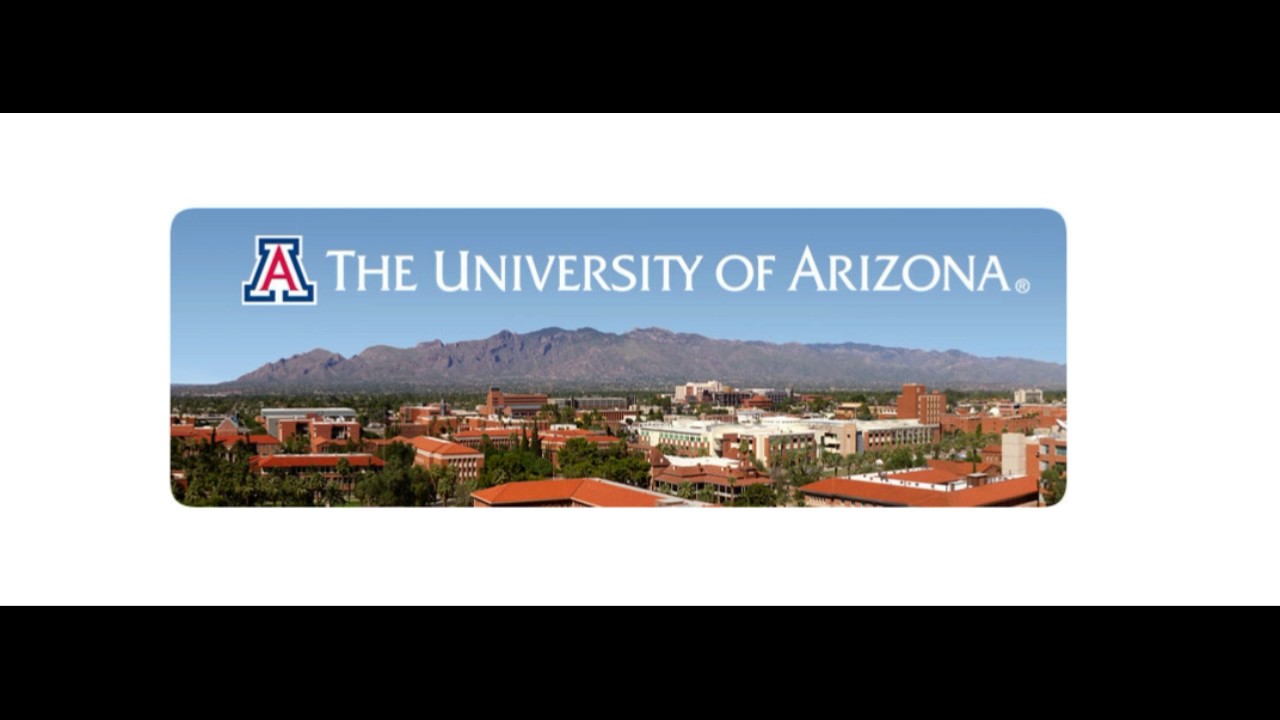 MBA - Master Business Degree Administration - The University of Arizona ...