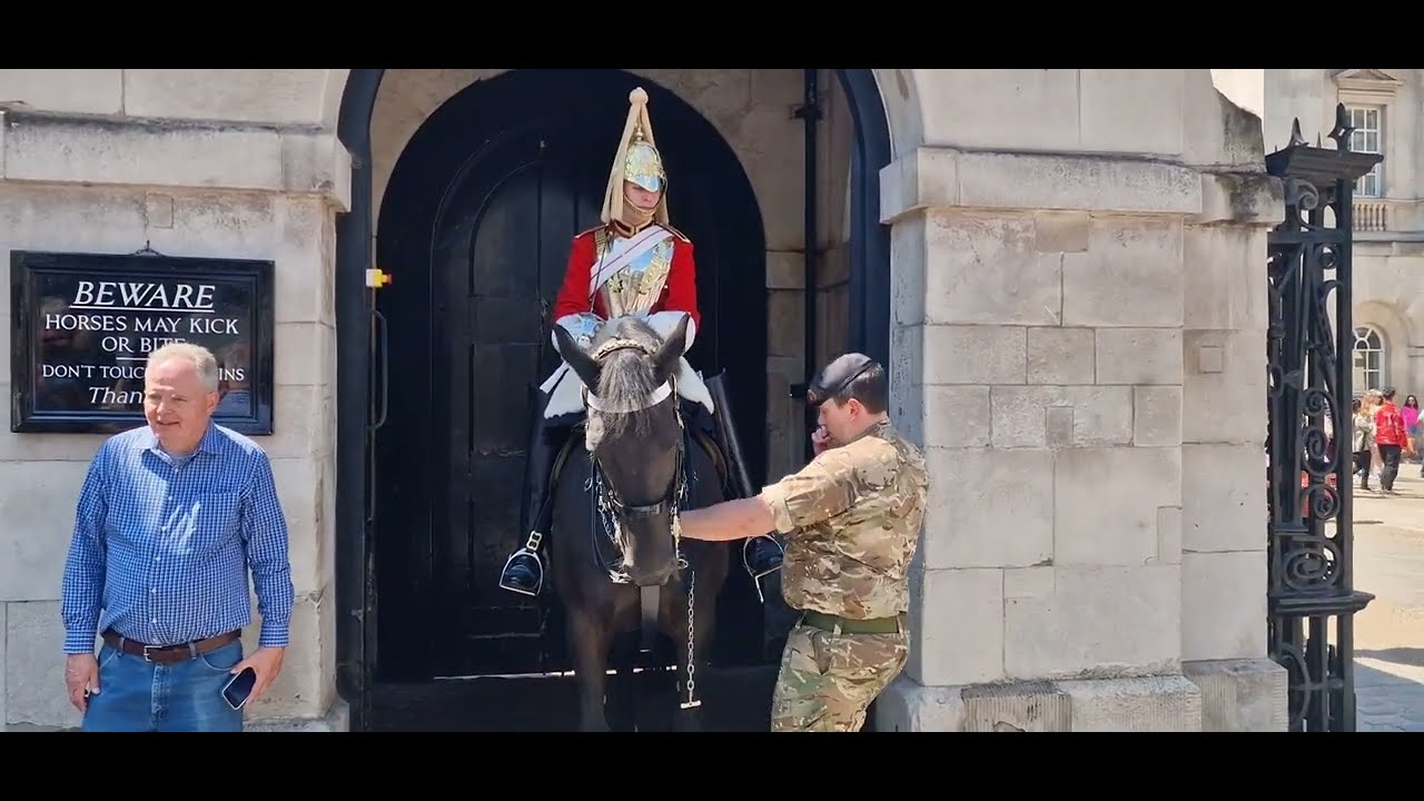 Chain comes undone arnie bites #thekingsguard - YouTube