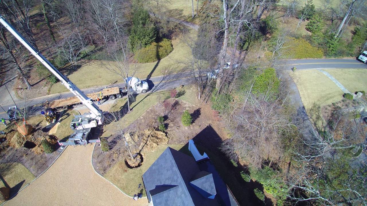 Planting Large Oak Trees with Crane - YouTube