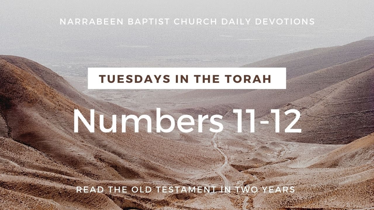 Reading Through the OT: Numbers 11-12 - YouTube