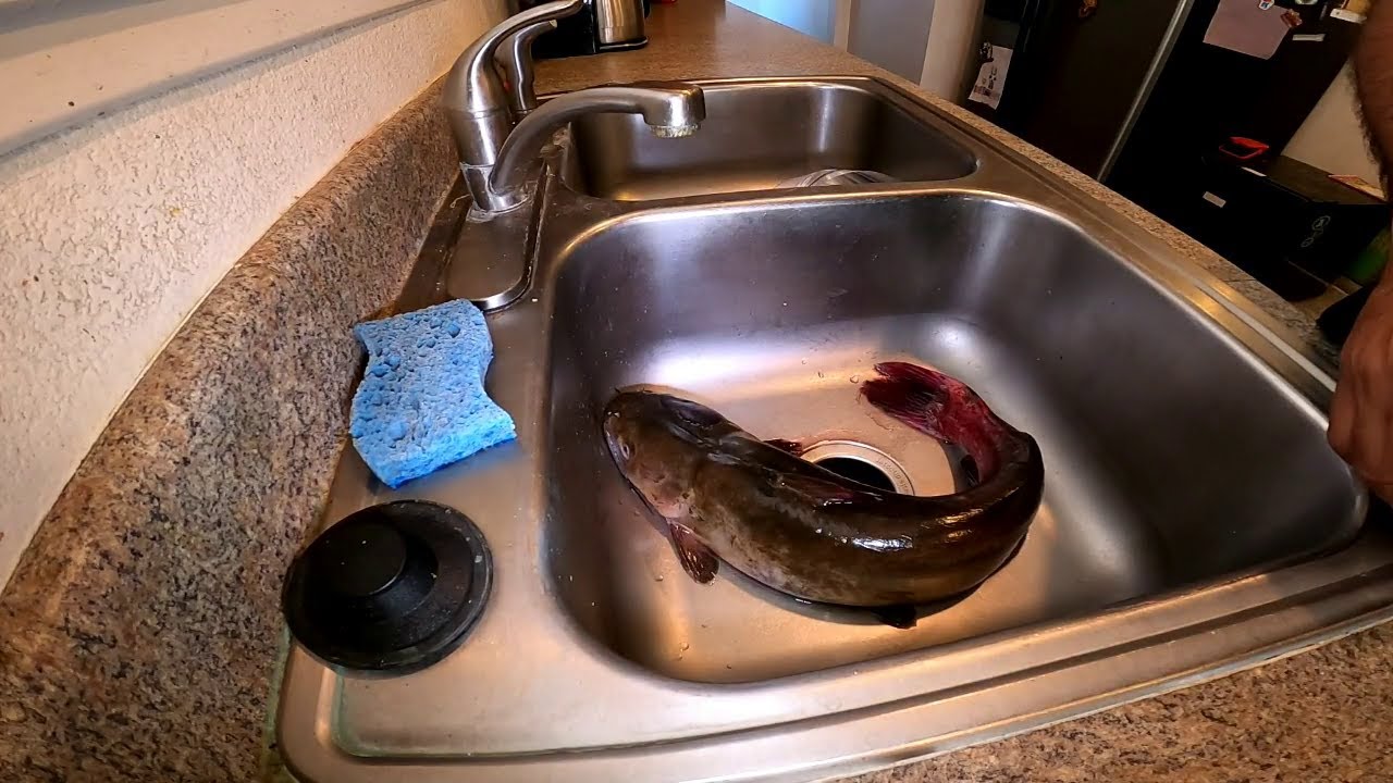 How to Clean a Catfish the Turbo Way - YouTube