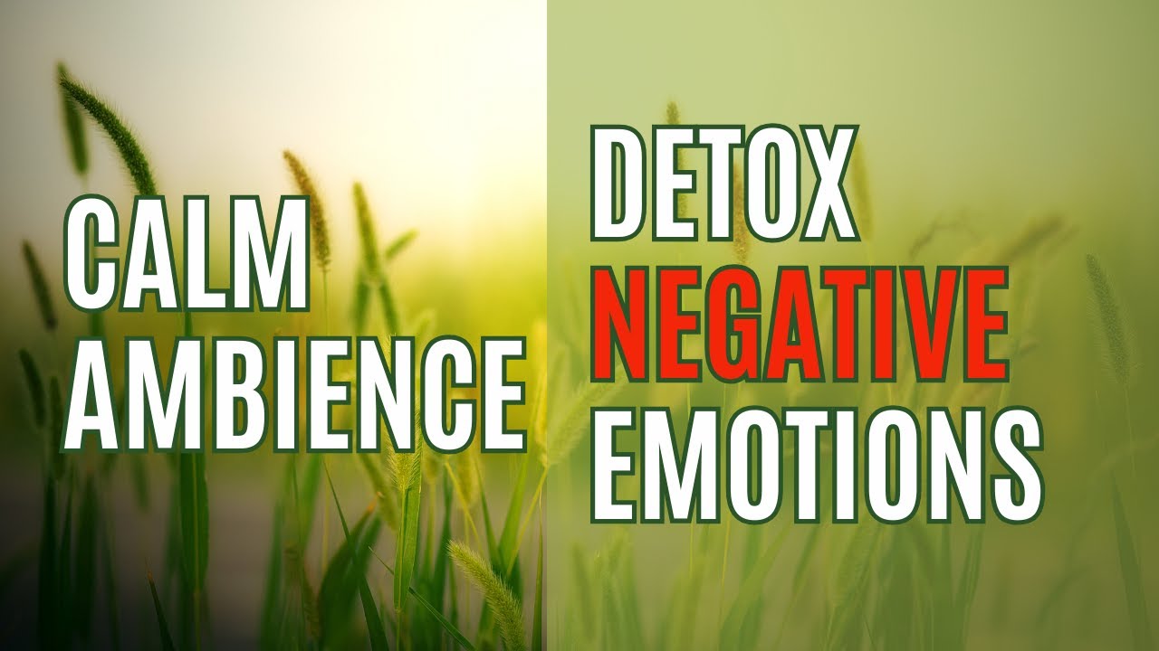 Calm Ambience : Detox Negative Emotions | Relaxation Music | For Yoga ...