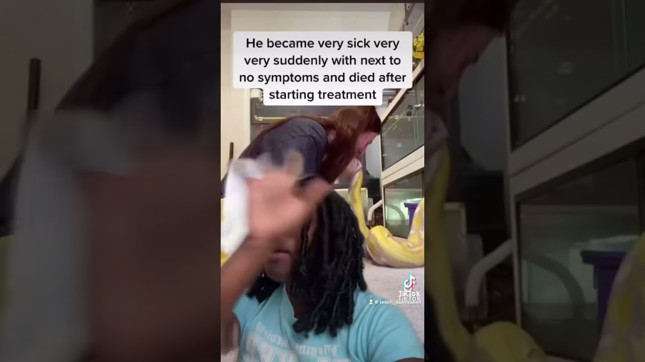 CRYING over dead snake, SET the camera up, PICKED a sad song, got into ...