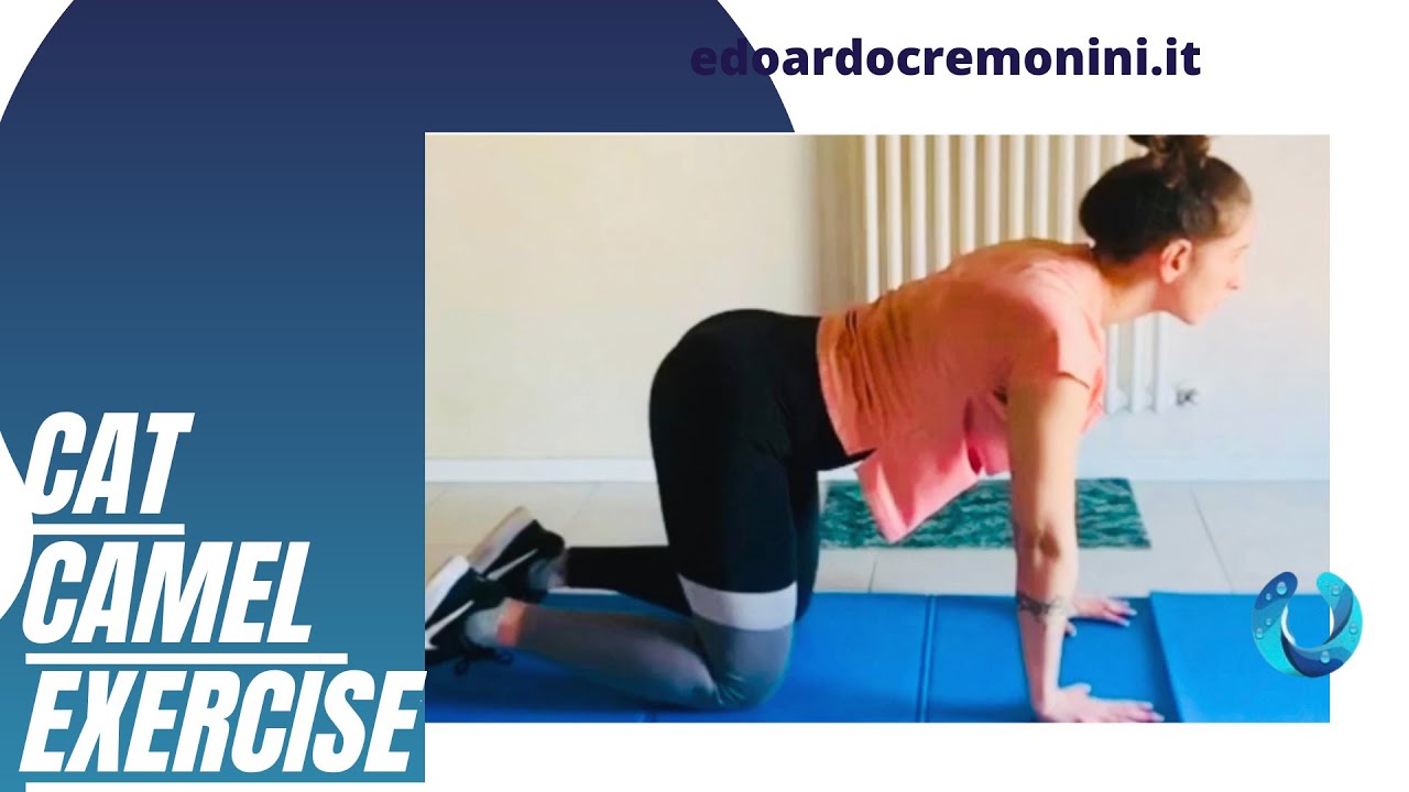 Cat-camel exercise - YouTube