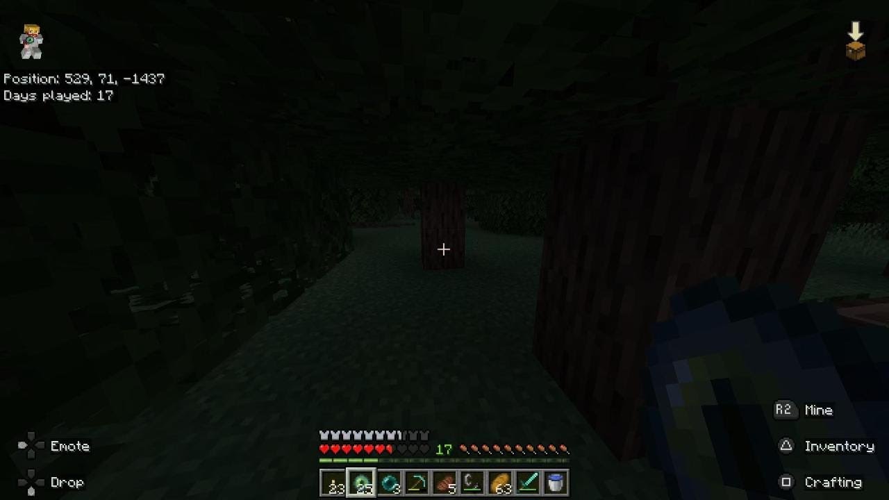 Minecraft beat da dragon ft r SuperGBros p6 stronghold!!!! - YouTube