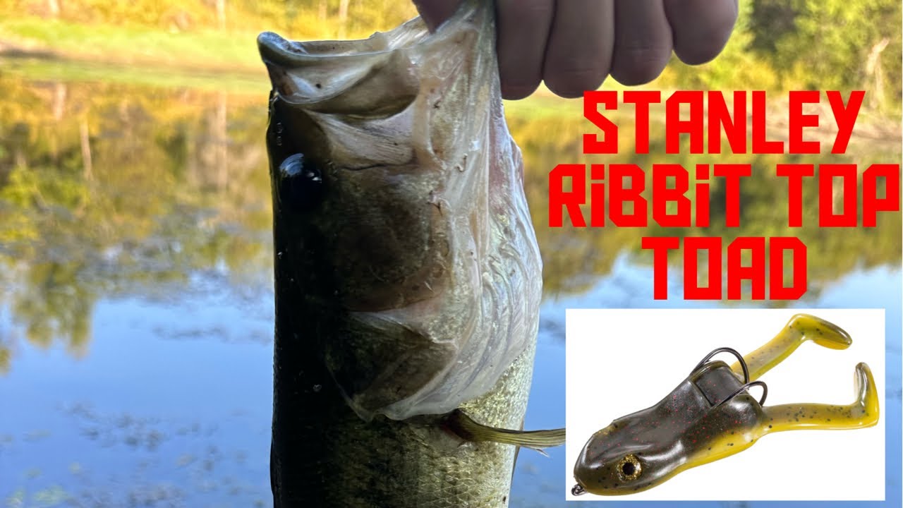 Stanley Ribbit Top Toad Frog bass fishing catches bass! - YouTube